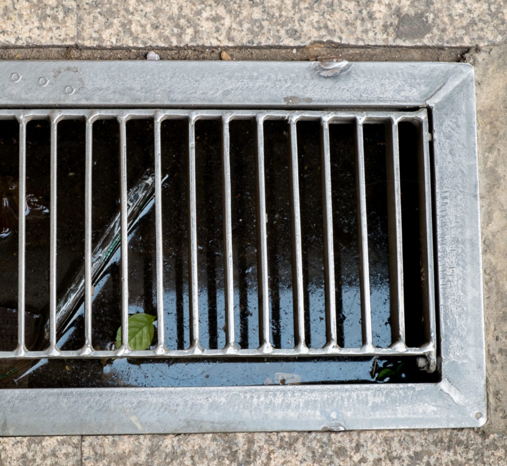 How Trees Can Help Reduce Stormwater Runoff On Your Property - Harford Tree