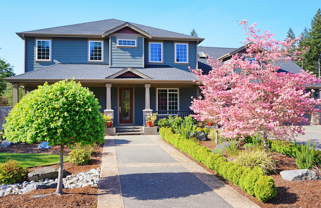 Preparing Your Property's Trees for Spring - Harford Tree