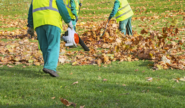 How to Manage Fallen Leaves on Your Landscape - Harford Tree