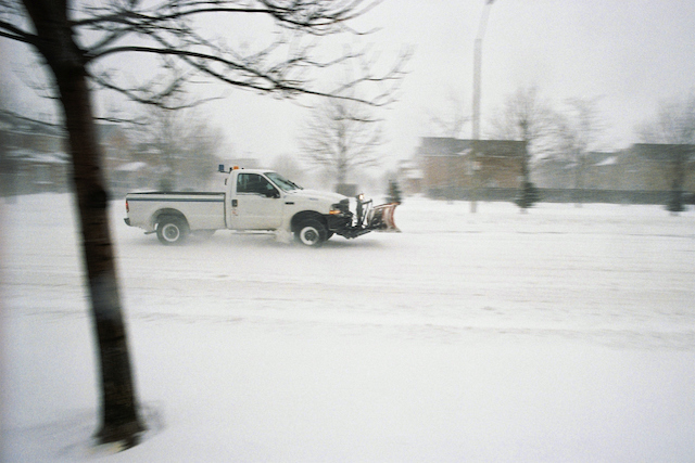 How Cold Temperatures Will Impact Your Spring Tree Growth - Harford Tree